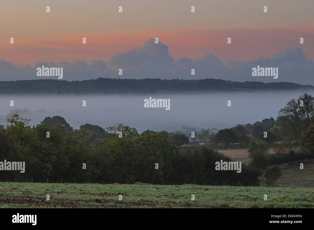 Line week hi-res stock photography and images - Alamy