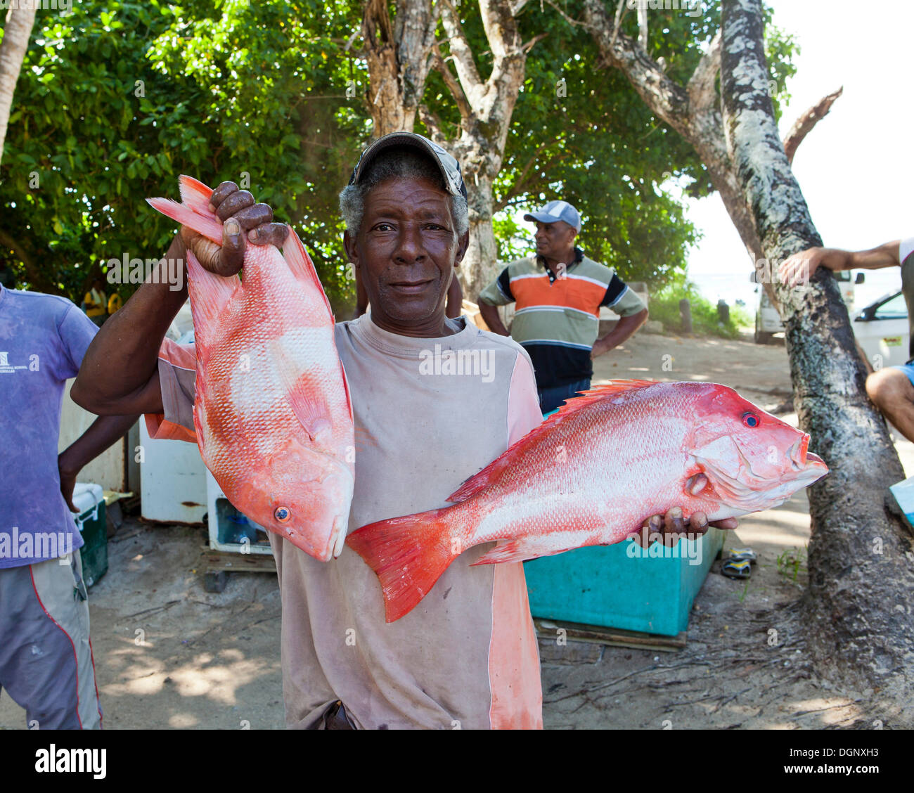 Fishmonger, fish market at the Anse Royale, Mahe, Seychelles, Africa ...