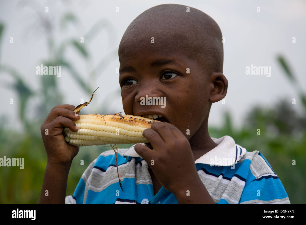 A young boy eats roasted maize at Acud village in Benguela province ...