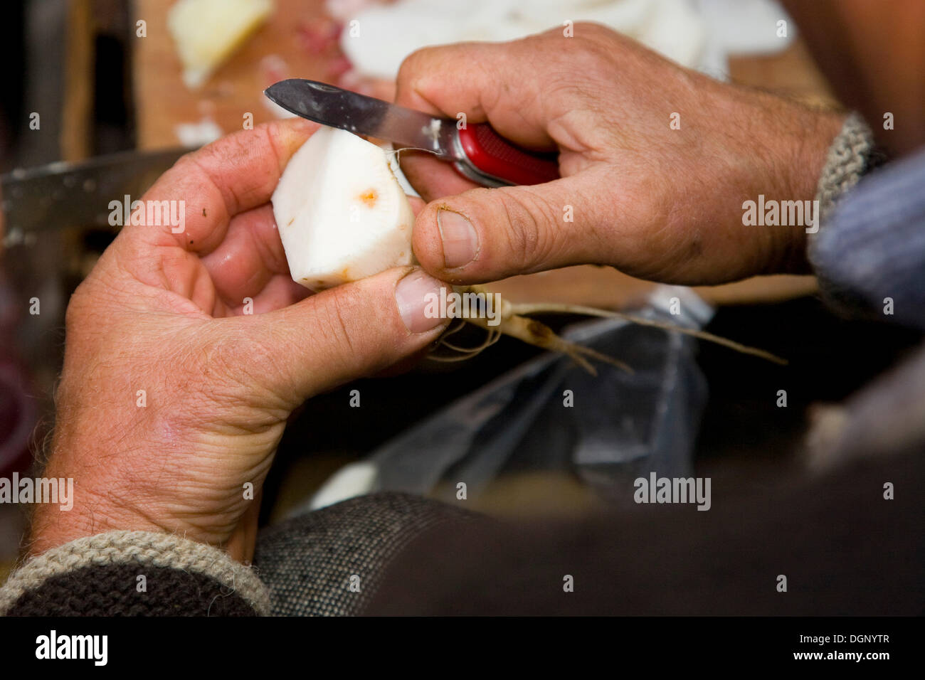 Cutting a radish Stock Photo - Alamy
