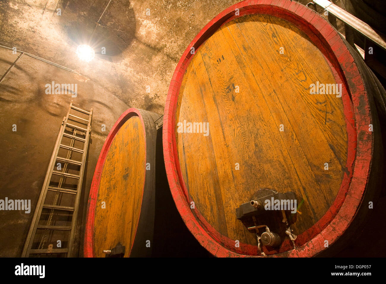 Wine barrels in a wine-cellar Stock Photo - Alamy