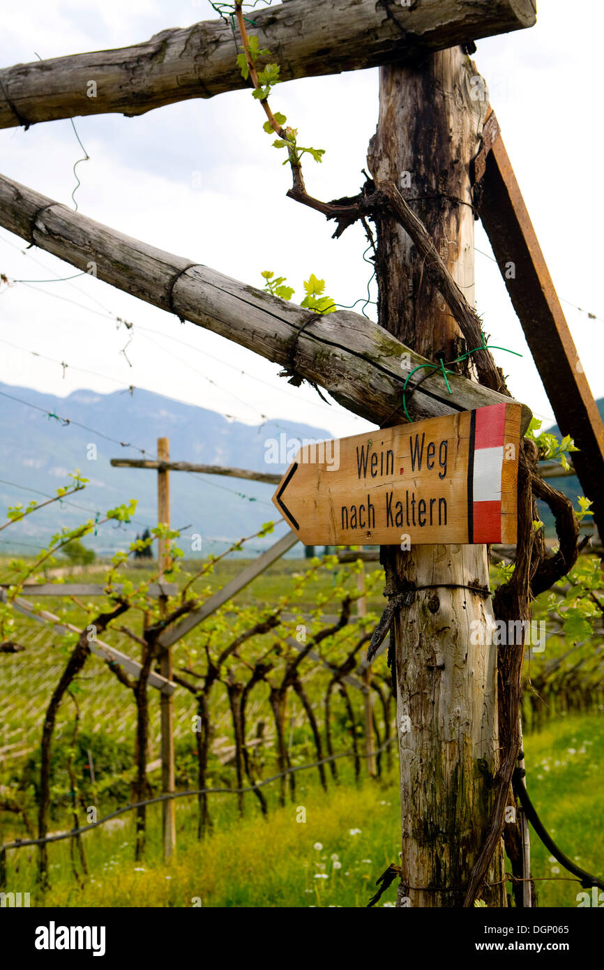 Vineyard Trail Sign High Resolution Stock Photography and Images - Alamy