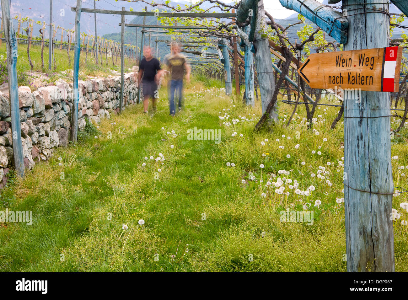 Wine trail signs hi-res stock photography and images - Alamy