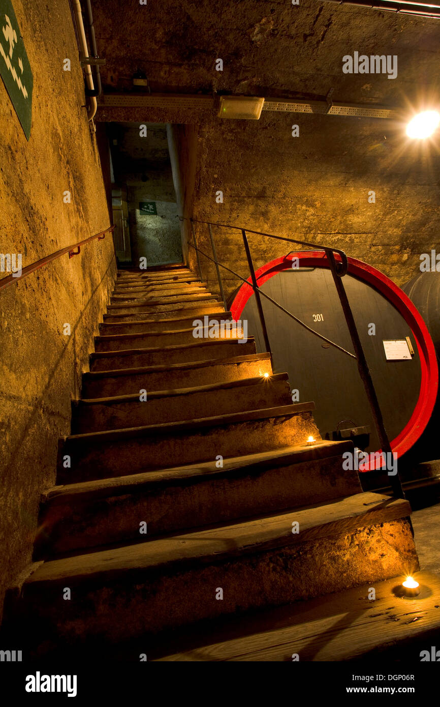 Old basement stairs Stock Photo - Alamy