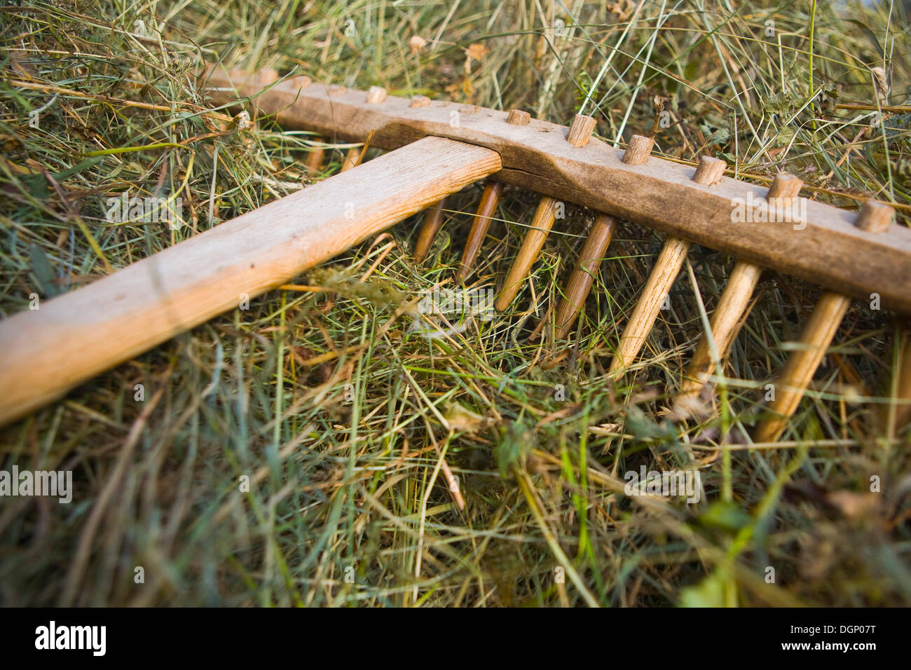 Hay forks hi-res stock photography and images - Alamy