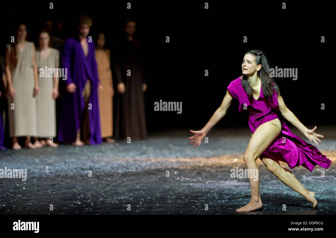 Berlin Germany 23rd Oct 2013 Members Of The Dance Company Of Stock berlin-germany-23rd-oct-2013-members-of-the-dance-company-of-stock