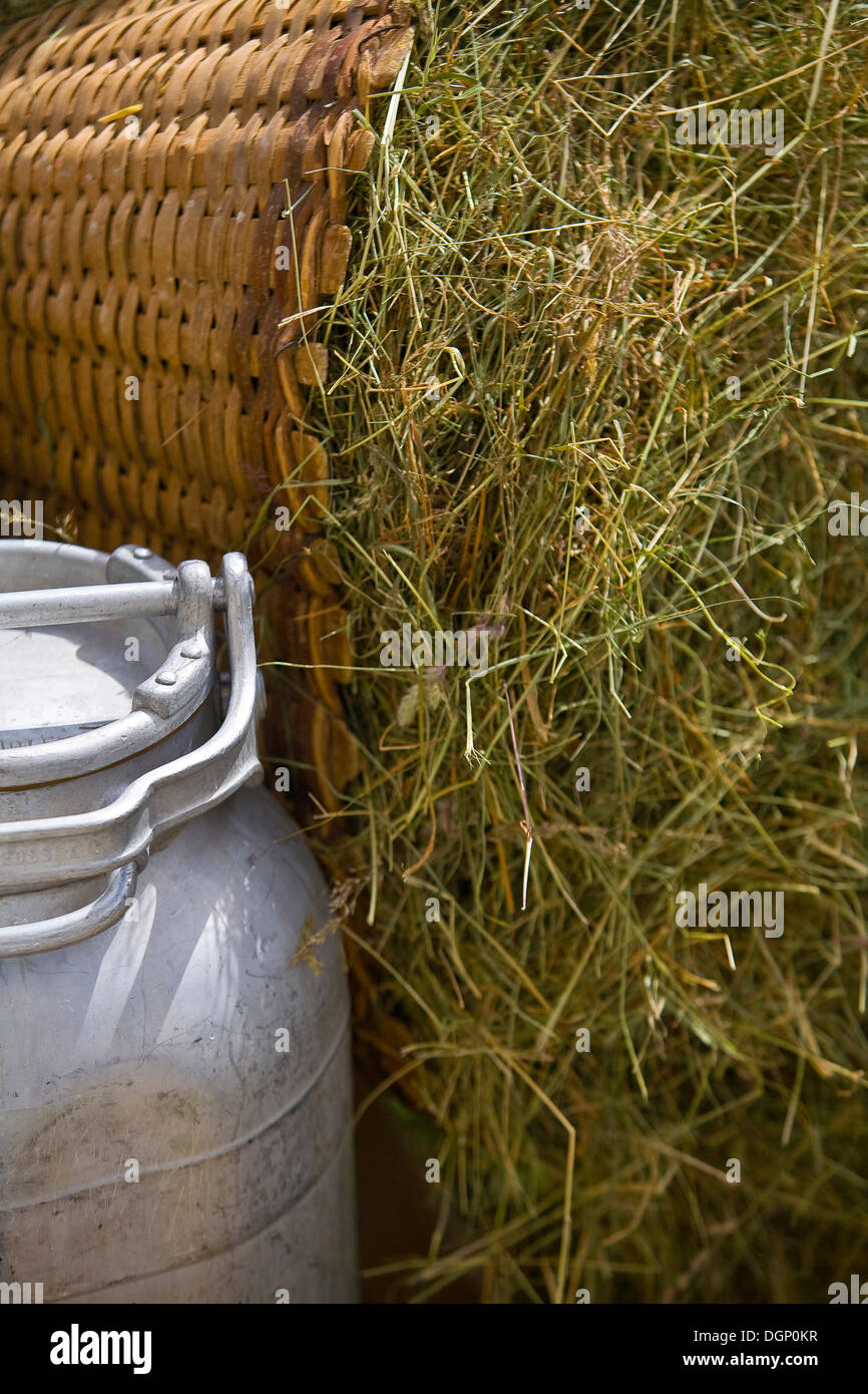 Milk can on an alpine pasture Stock Photo - Alamy