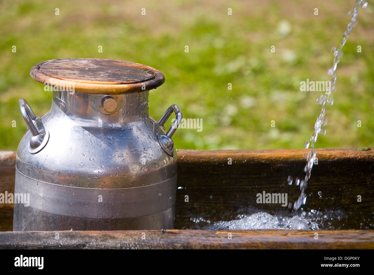 Milk cans in a well on a mountain pasture, South Tyrol, Italy, Europe ...