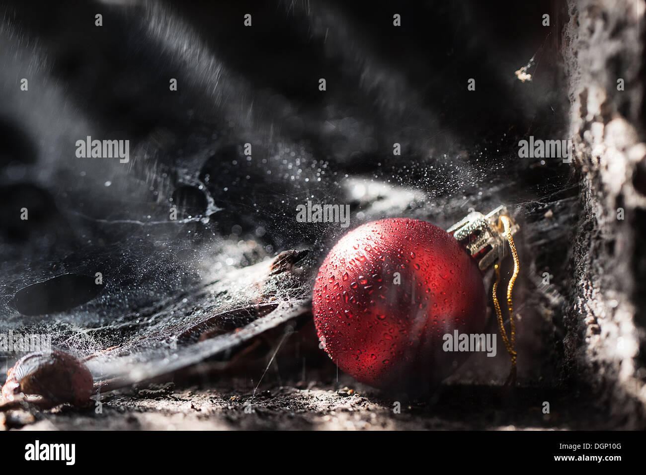 Red christmas ball in wet cobweb (concept Stock Photo - Alamy