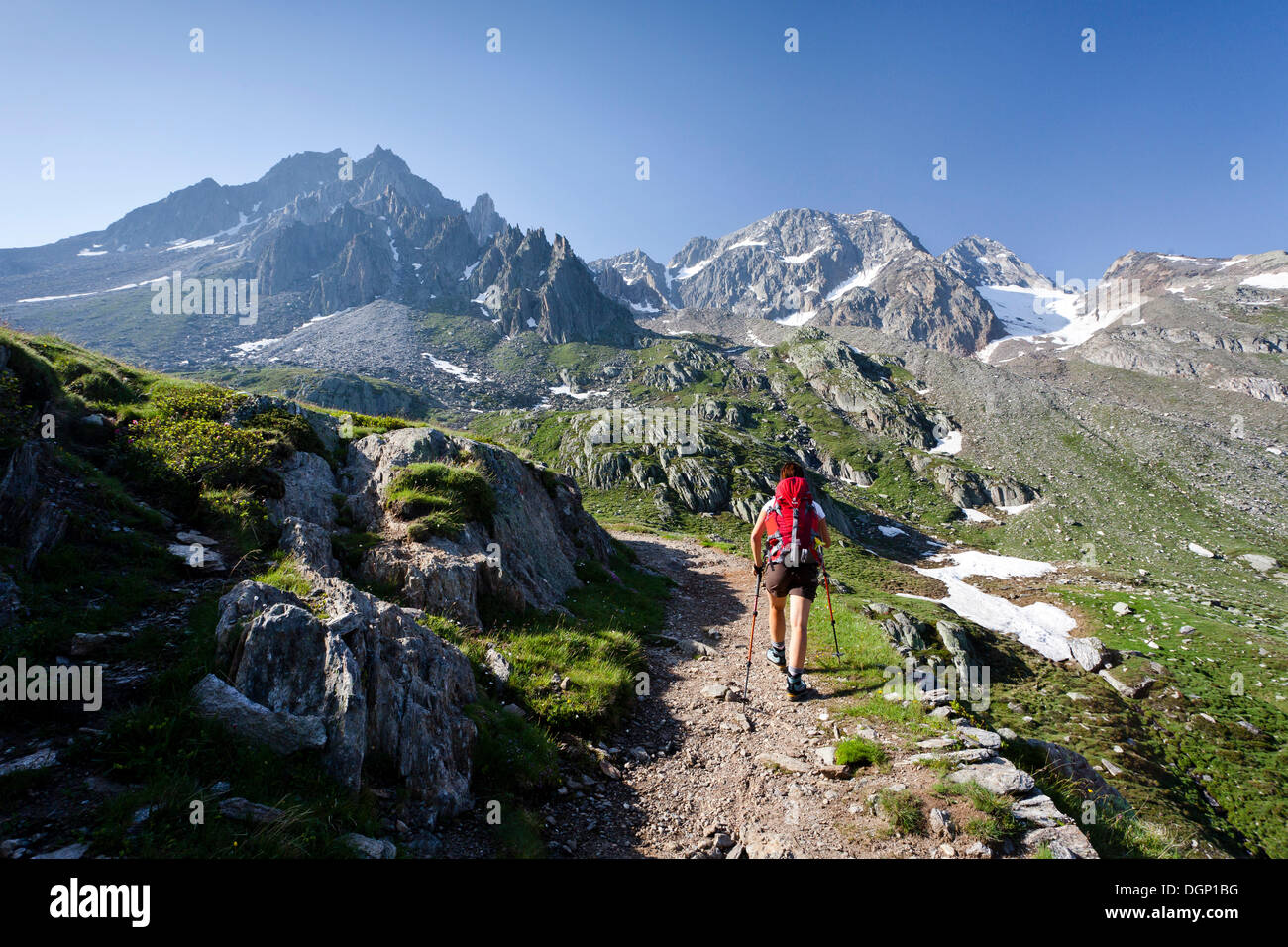 Hiker on the Merano High Mountain Trail, during the ascent to Hochwilde ...