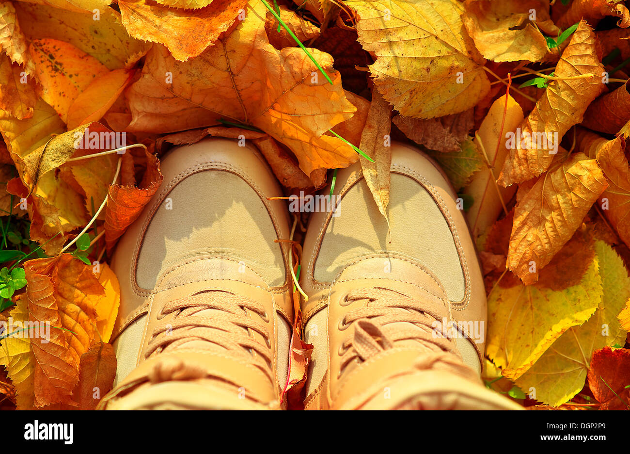 Female fall shoes hi-res stock photography and images - Alamy