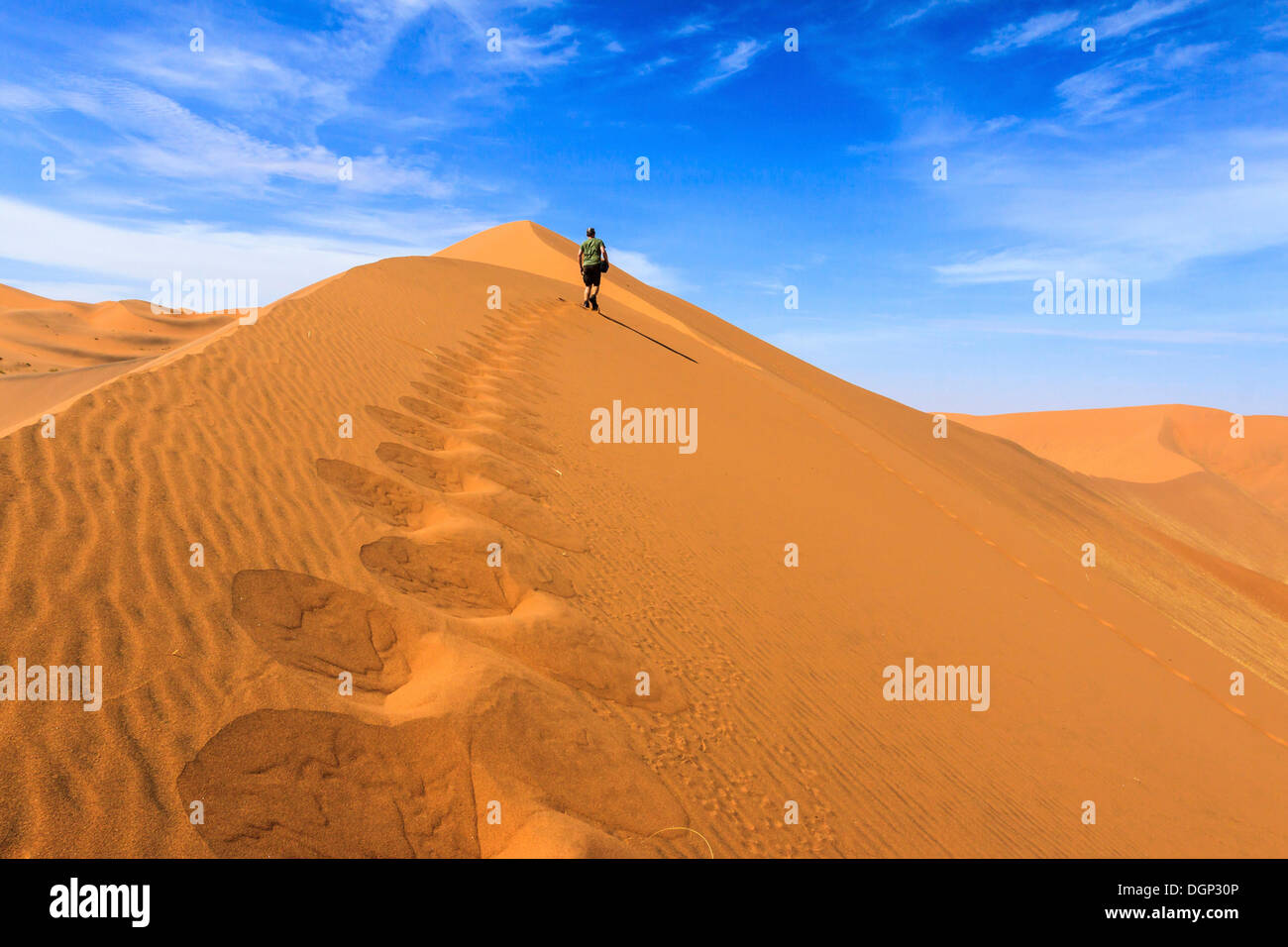 Tourist on Big Daddy dune, Sosssusvlei, Namib Desert, Namib Naukluft ...