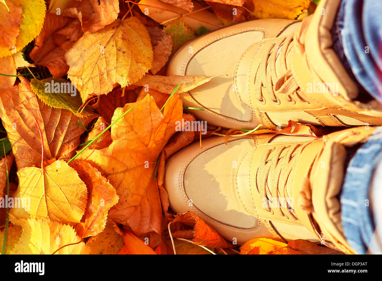 Autumn Background with Fall leaves and woman Shoes Boots Golden Yellow ...