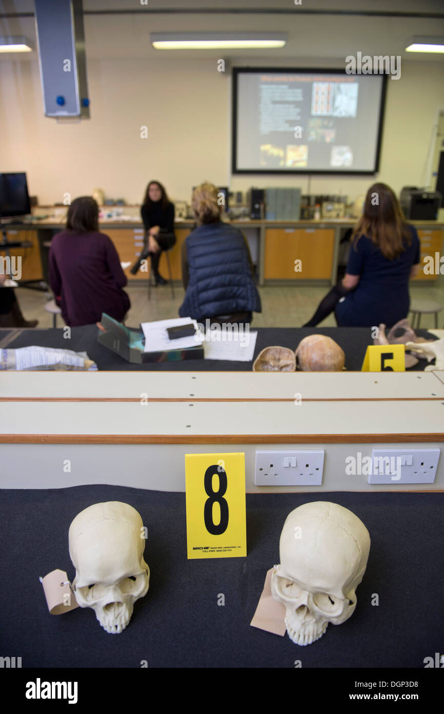 Forensic anthropology training hi-res stock photography and images - Alamy