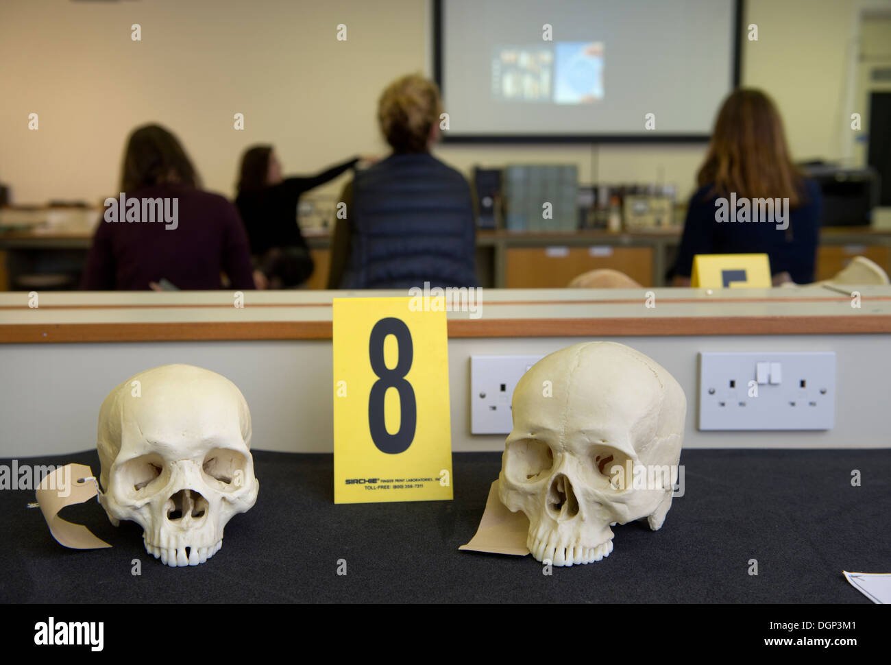 Crime scene forensic scientists hi-res stock photography and images - Alamy