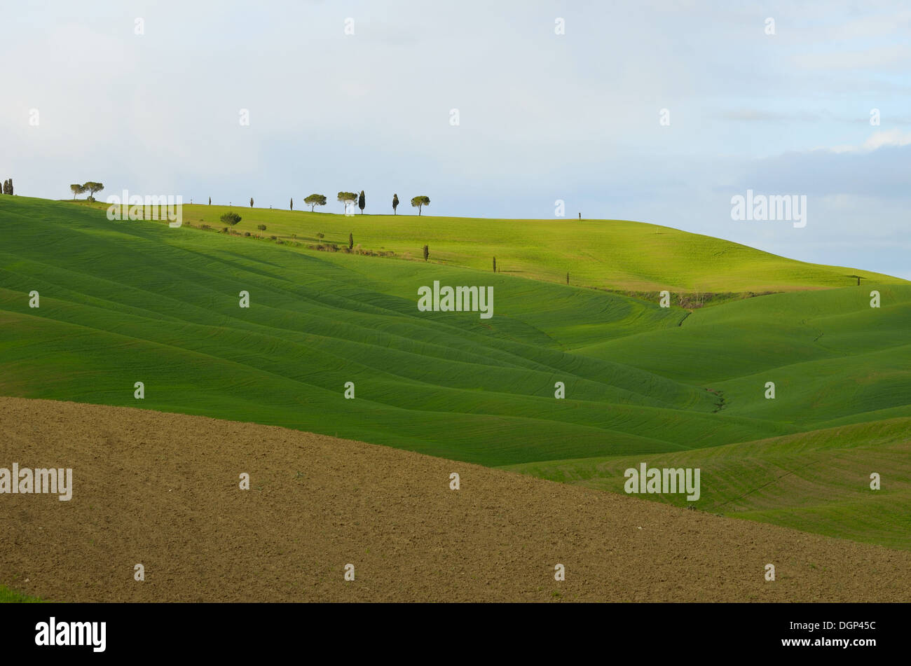 Tuscan Hills, Italy Stock Photo - Alamy
