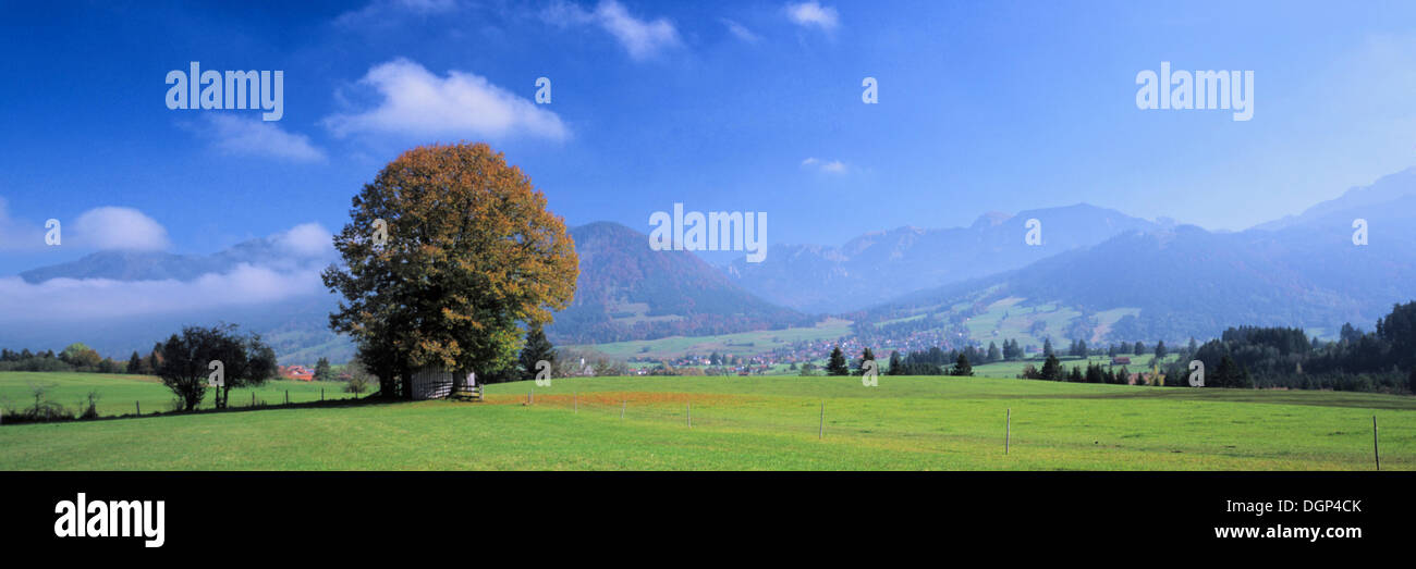 Landscape with trees in autumn, Ostallgaeu district, Bavaria Stock ...