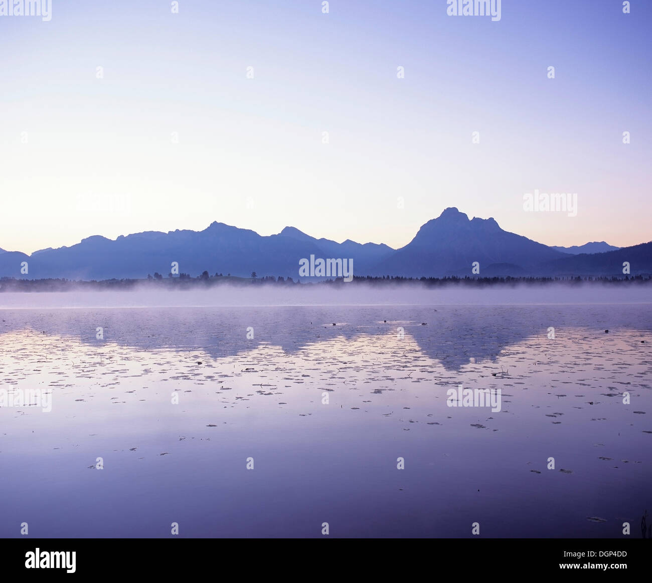 Allgaeu Alps reflected in the Hopfensee lake, Ostallgaeu district ...