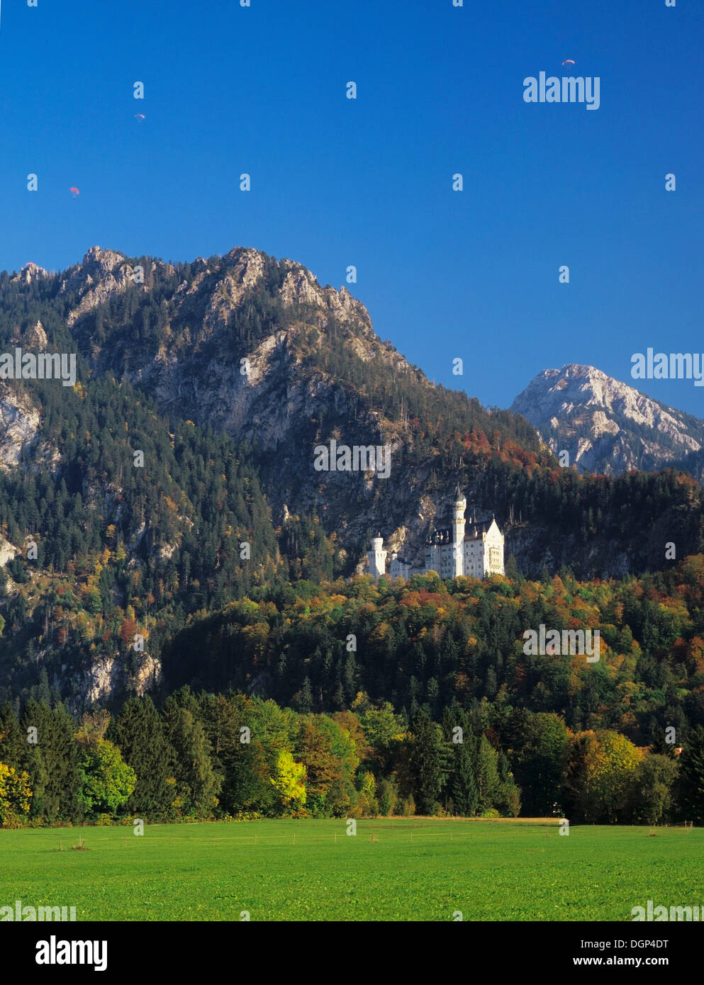 Schloss Neuschwanstein castle, near Fuessen, Ostallgaeu district ...