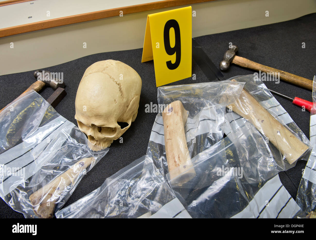 A laboratory exhibit at the Forensic Institute of Cranfield University ...