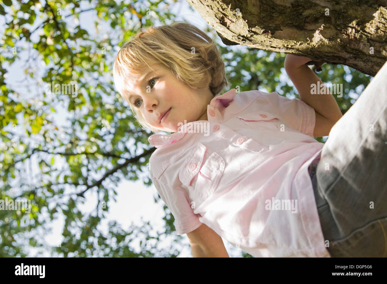 Girl sitting on a tree Stock Photo - Alamy