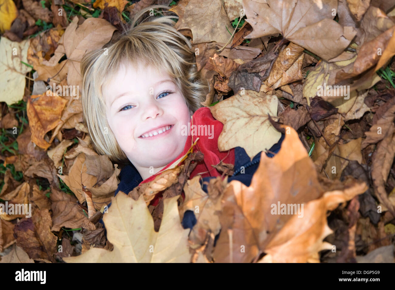 Children laying in autumn leaves hi-res stock photography and images ...