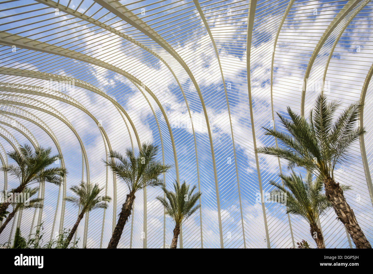 Umbracle umbracle l hi-res stock photography and images - Alamy