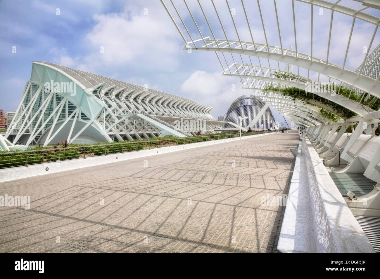 Y Shaped Building High Resolution Stock Photography and Images - Alamy