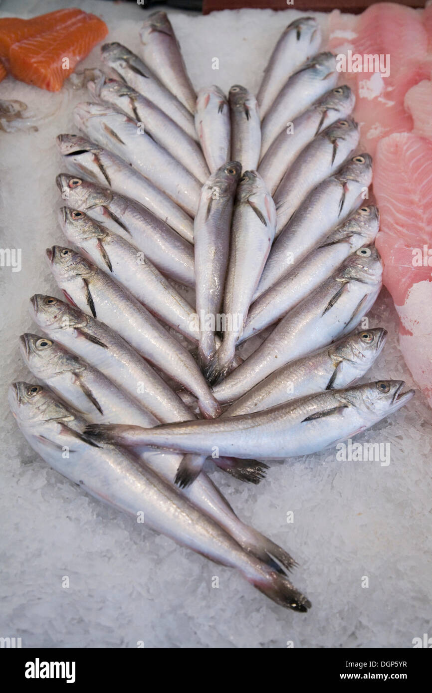 Fresh iced fish hi-res stock photography and images - Alamy