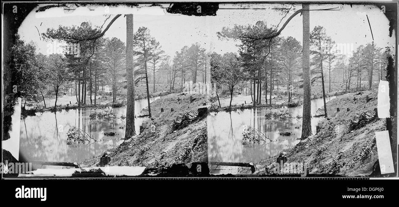 A natural landscape showing a swamp or the overflow of a river ...