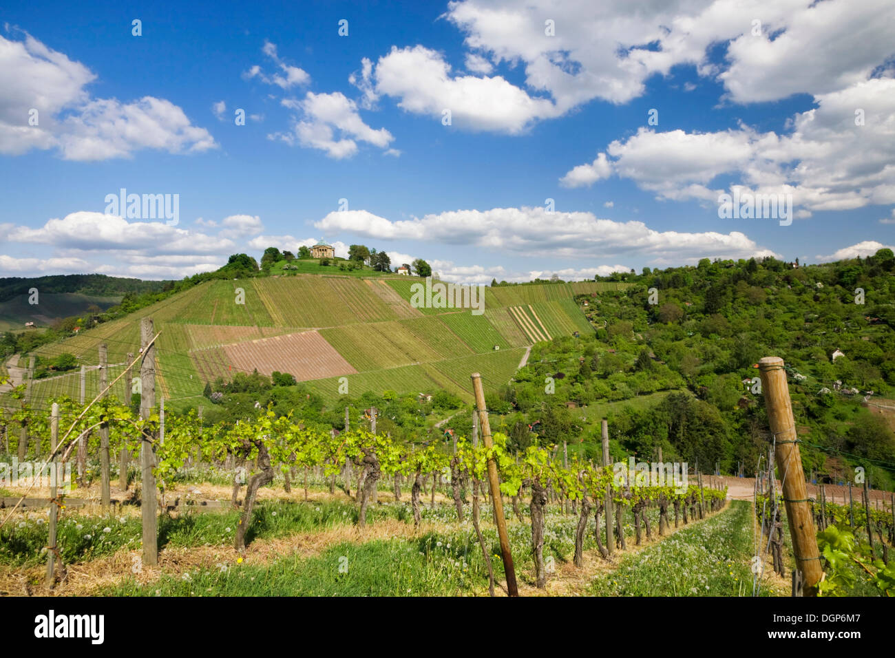 Rotenberg mausoleum stuttgart baden wuerttemberg germany hi-res stock ...