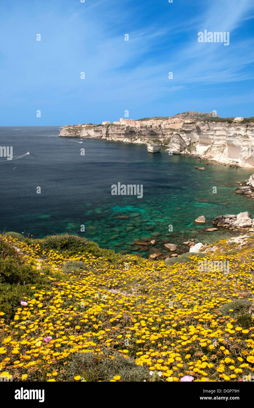 Cliffs of Bonifacio in the spring, Strait of Bonifacio, Corsica, France ...