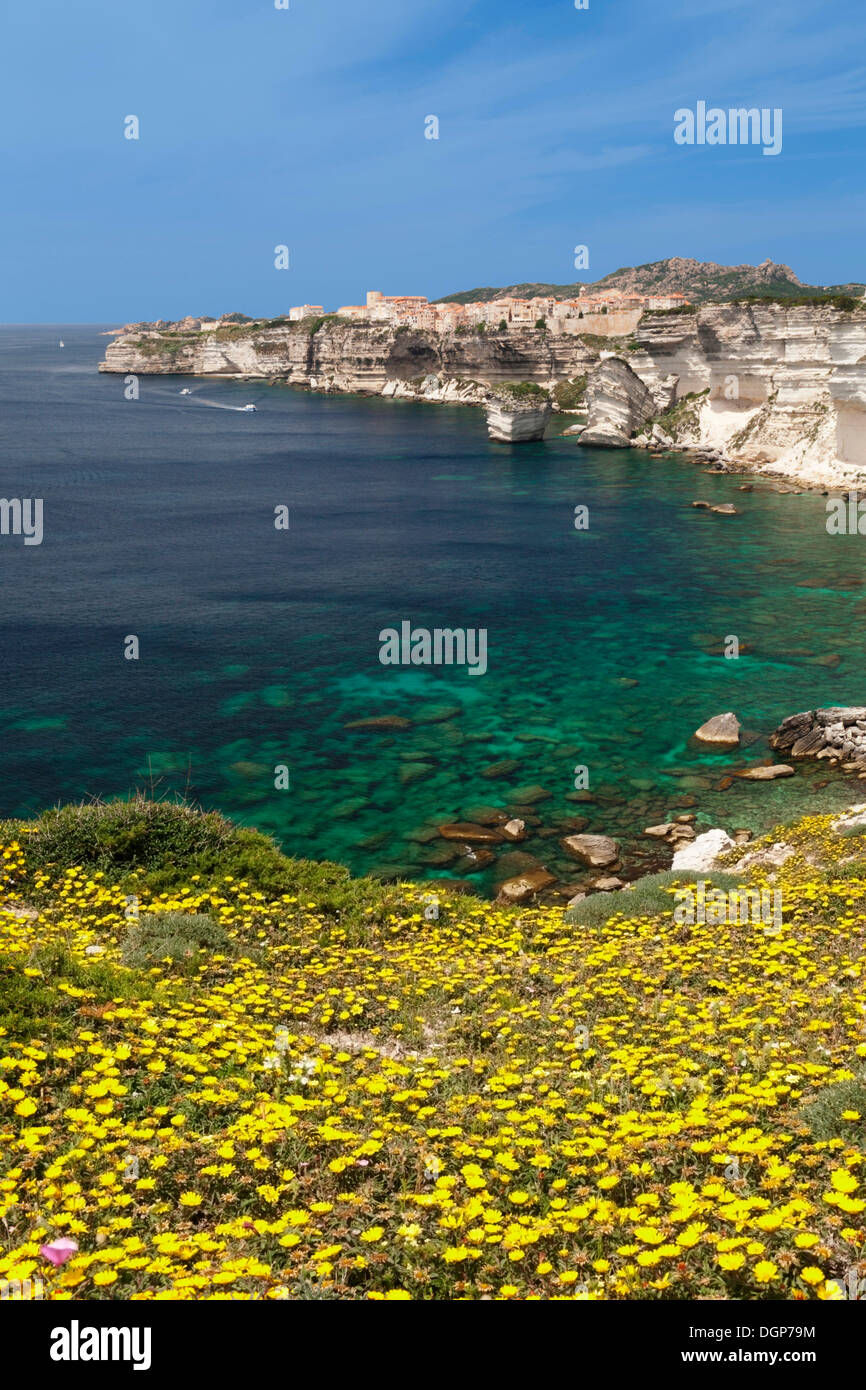 Rocky coastline with a view to Bonifacio, Strait of Bonifacio, Corsica ...