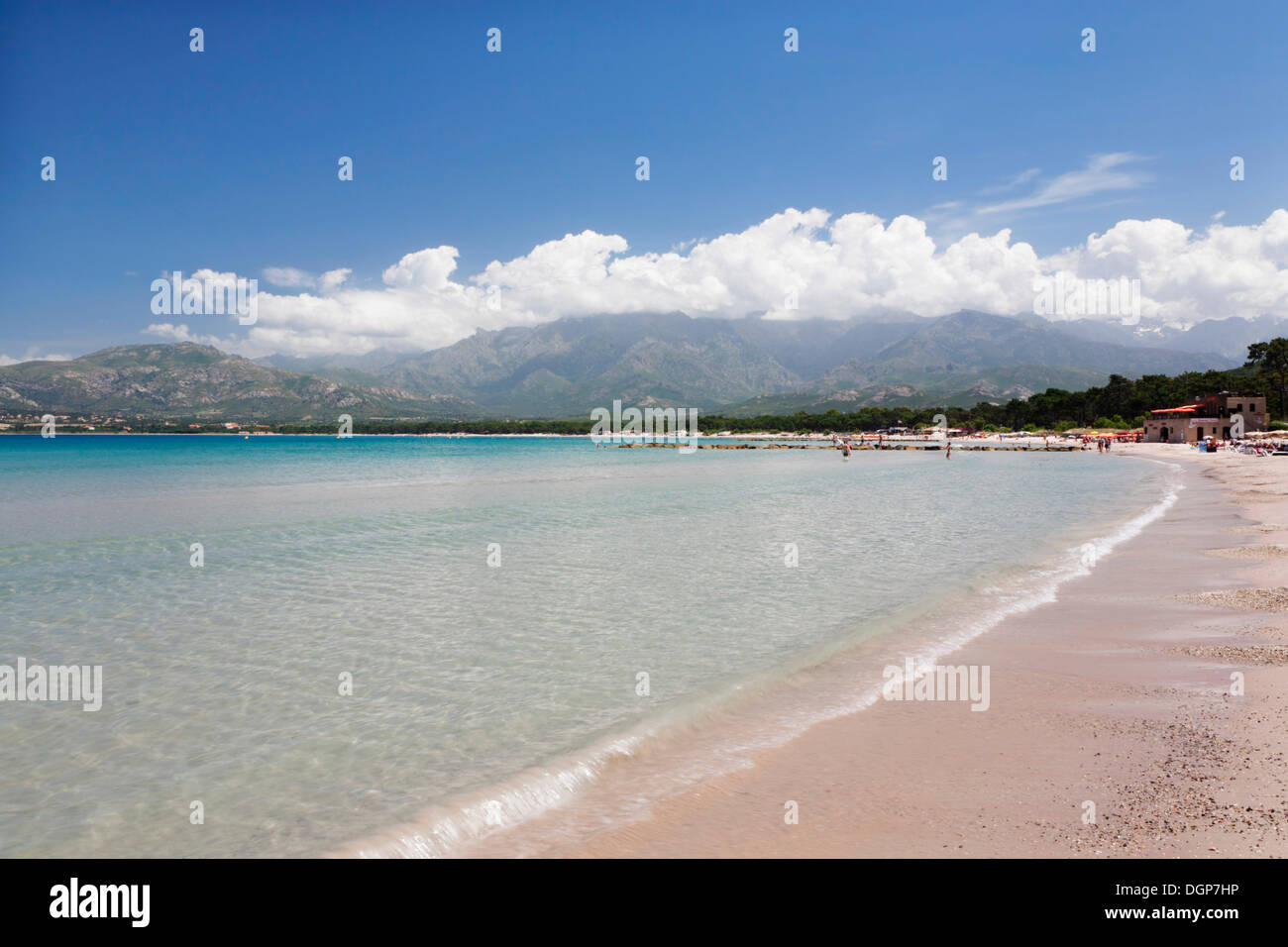Calvi Beach, Balagne, West Corsica, Corsica, France, Europe Stock Photo ...