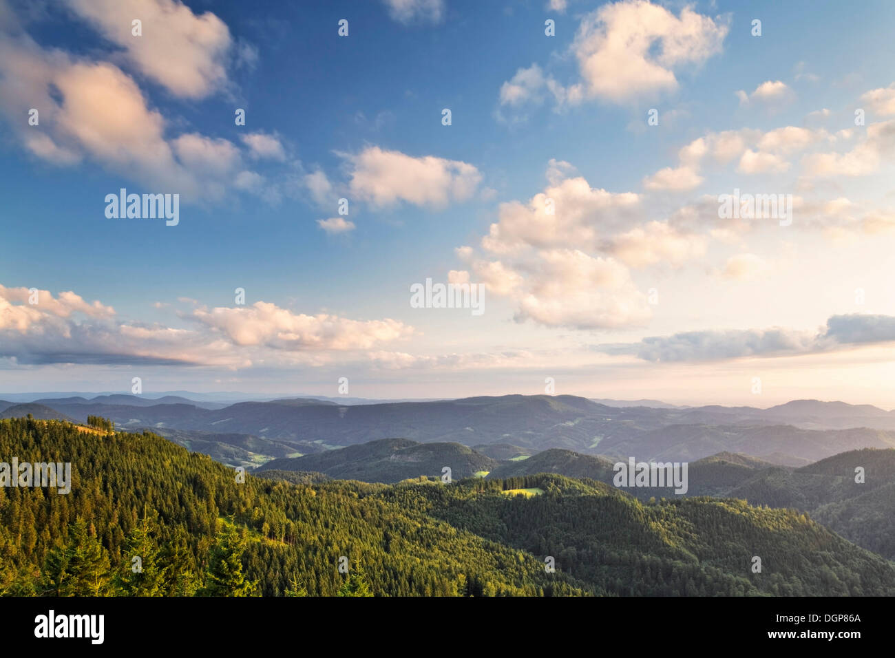 Overlooking forest mountains hi-res stock photography and images - Alamy