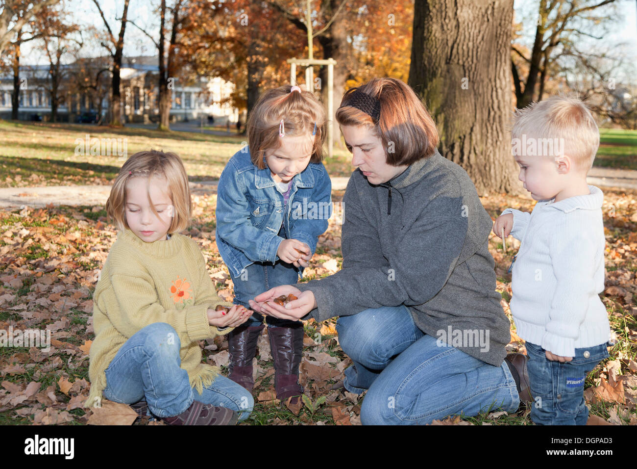 Collecting leaves children in park hi-res stock photography and images ...