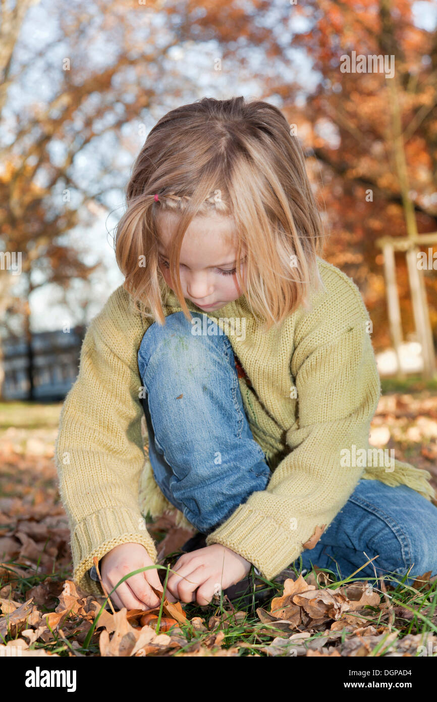 Six-year-old girl collecting acorns in an autumn park Stock Photo - Alamy