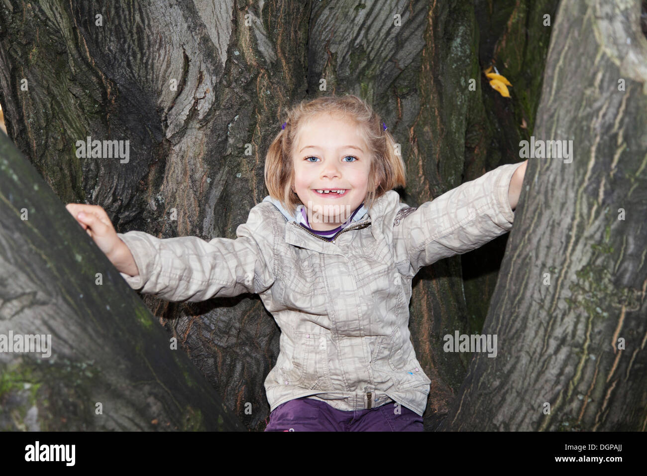 Girl, six years, sitting on a tree Stock Photo - Alamy