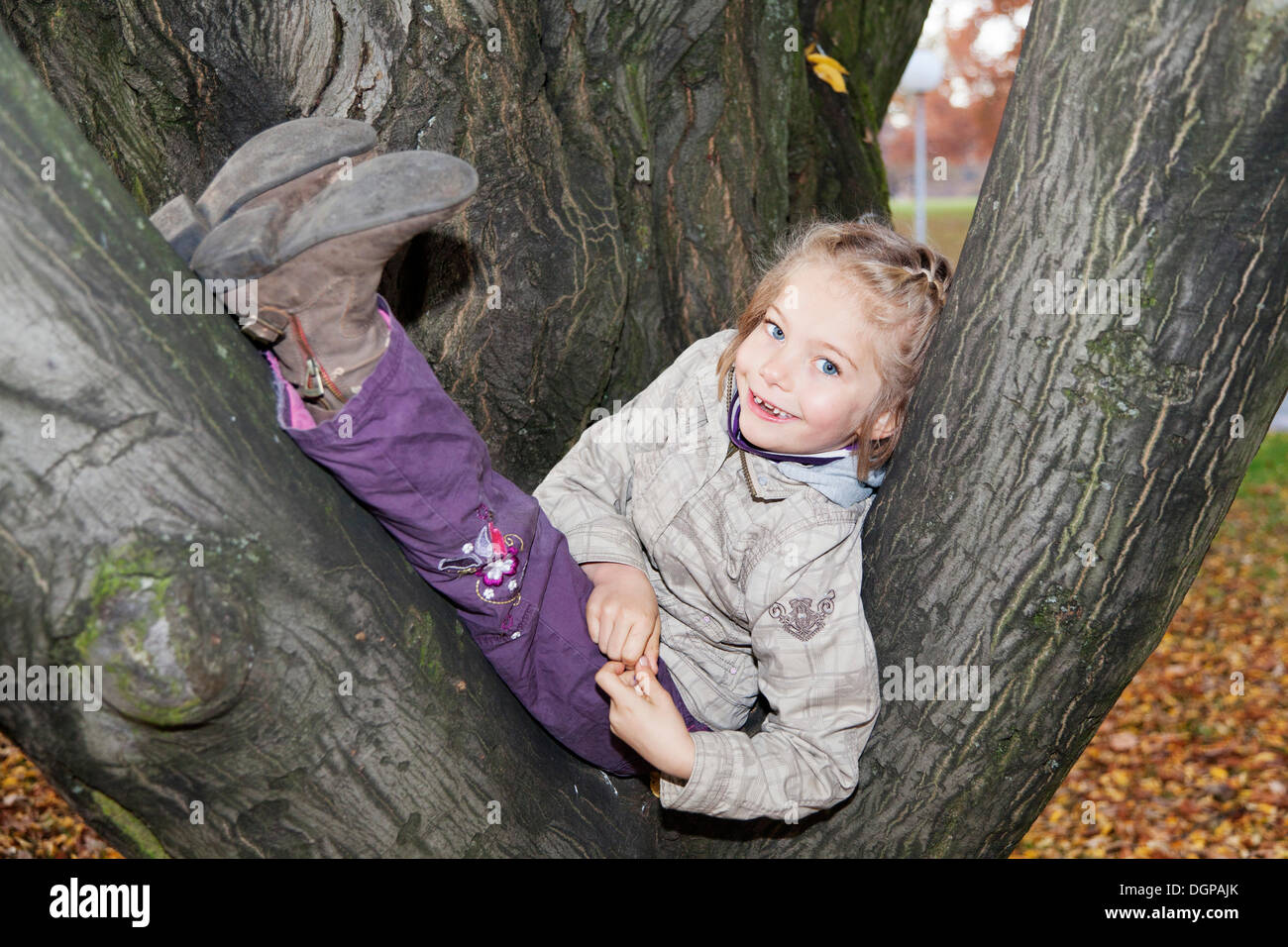 Girl, six years, sitting on a tree Stock Photo - Alamy