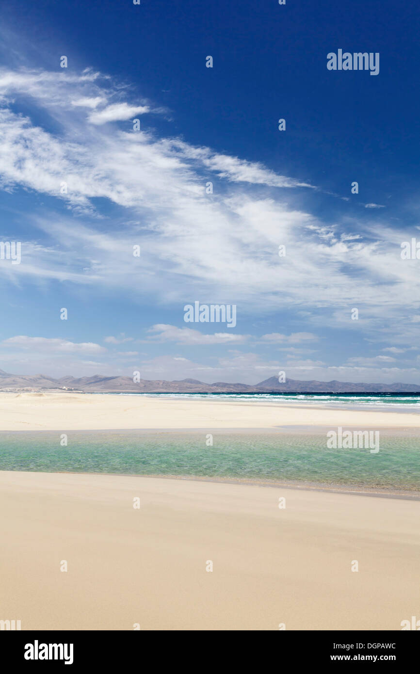 Beach, Risco del Paso, Fuerteventura, Canary Islands, Spain Stock Photo ...