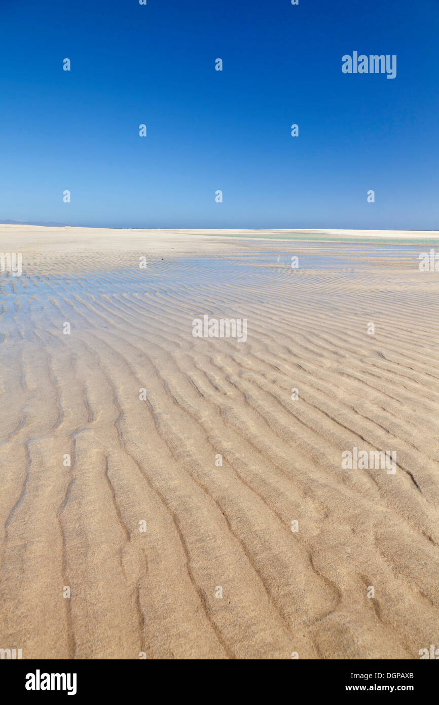 Beach, Risco del Paso, Fuerteventura, Canary Islands, Spain Stock Photo ...