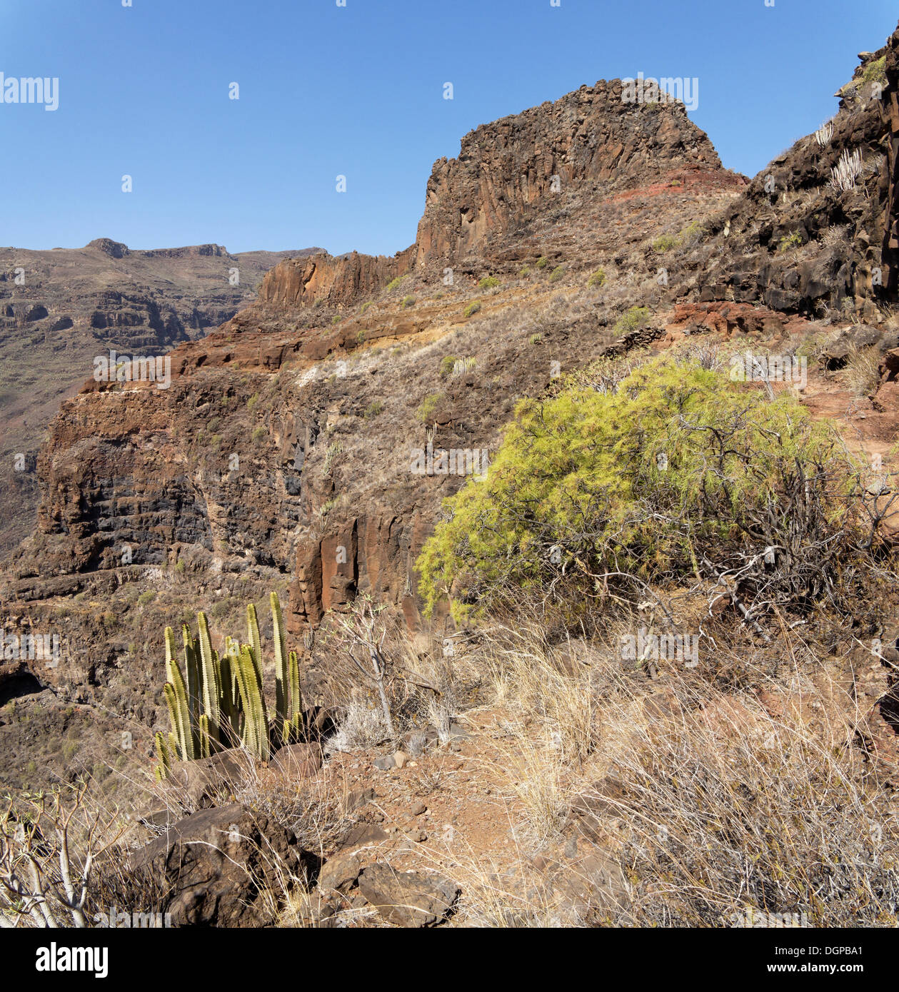 Garcia hi-res stock photography and images - Alamy