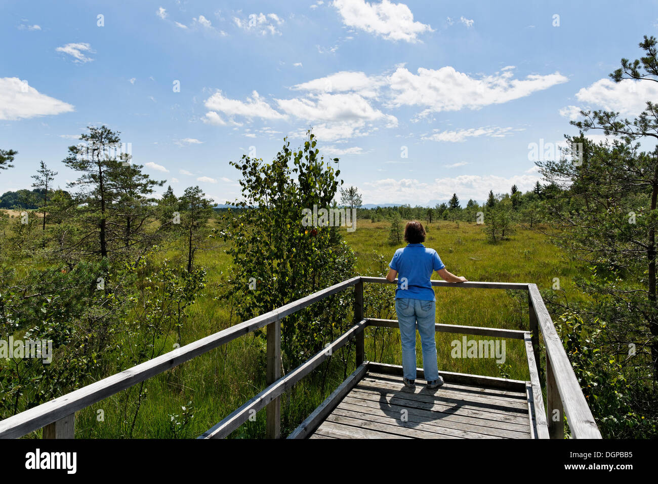 Ibmer Moorweg, moor path, Ibmer Moor, community of Moosdorf, Innviertel ...