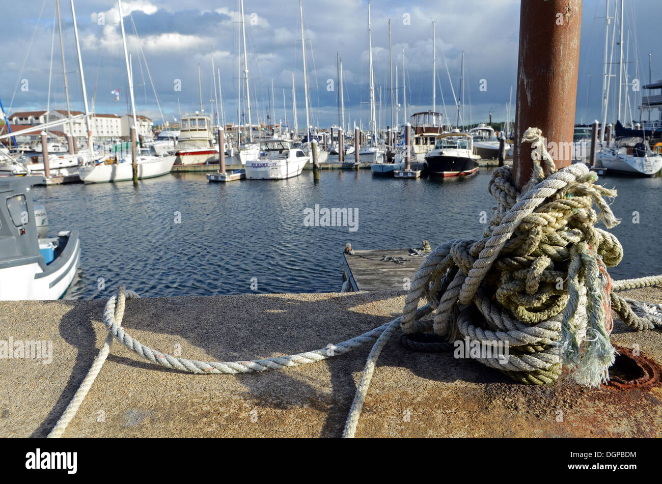Fishing and sailing boats in port of Newport, Rhode Island, United ...