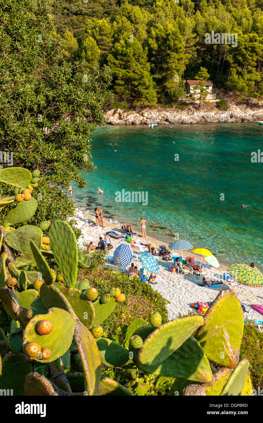 Tourists relaxing on Pupnatska beach near Pupnat, Croatia Stock Photo ...