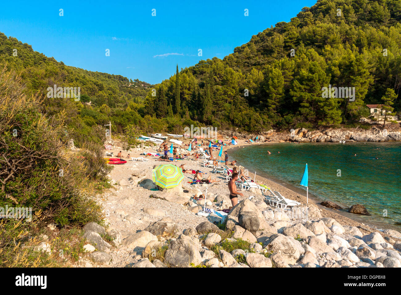 Pupnat hi-res stock photography and images - Alamy