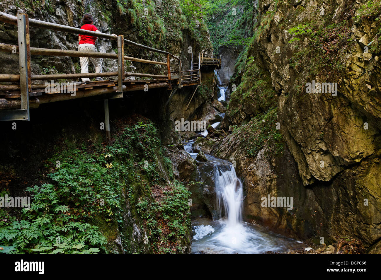 Dr. Vogelgesang gorge and Trattenbach creek, Spital am Pyhrn, Pyhrn ...