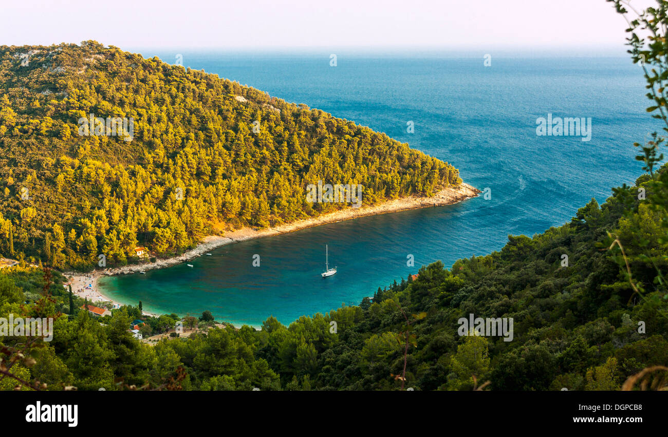 Pupnat hi-res stock photography and images - Alamy