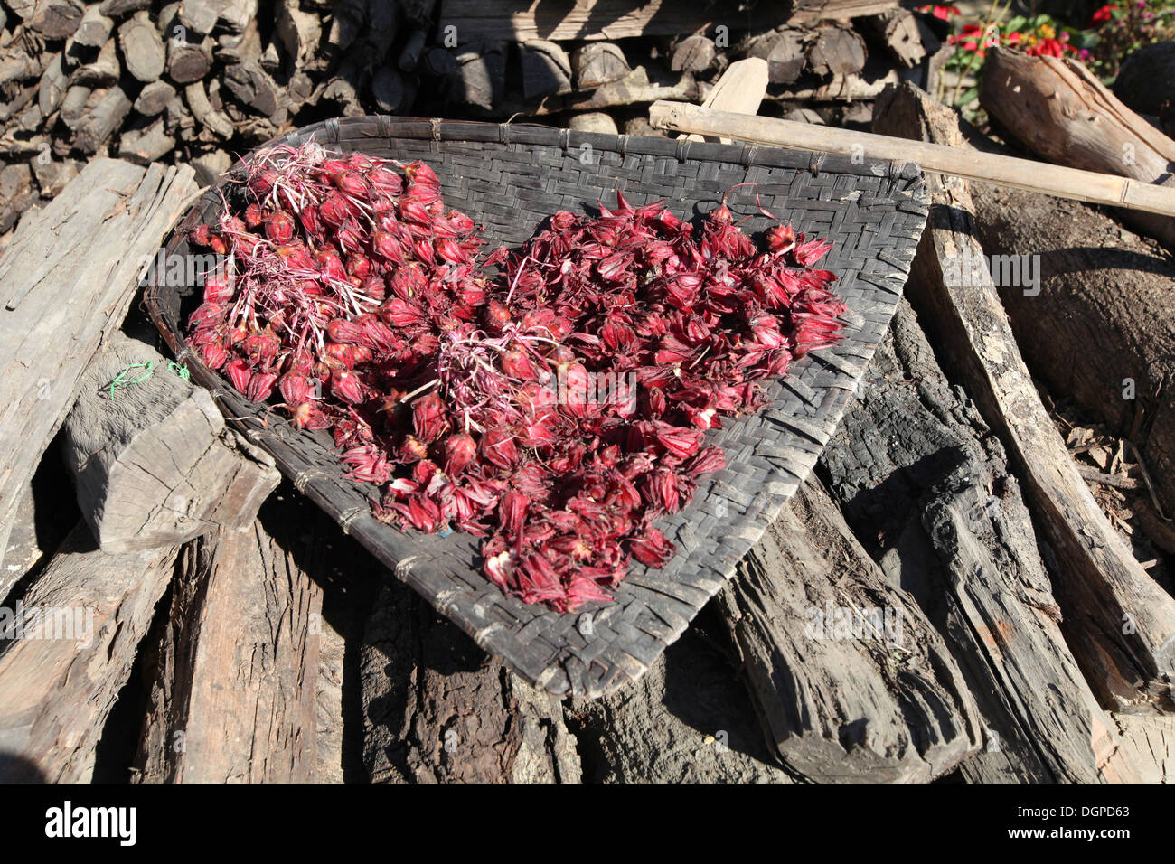 Sun drying seeds hi-res stock photography and images - Alamy