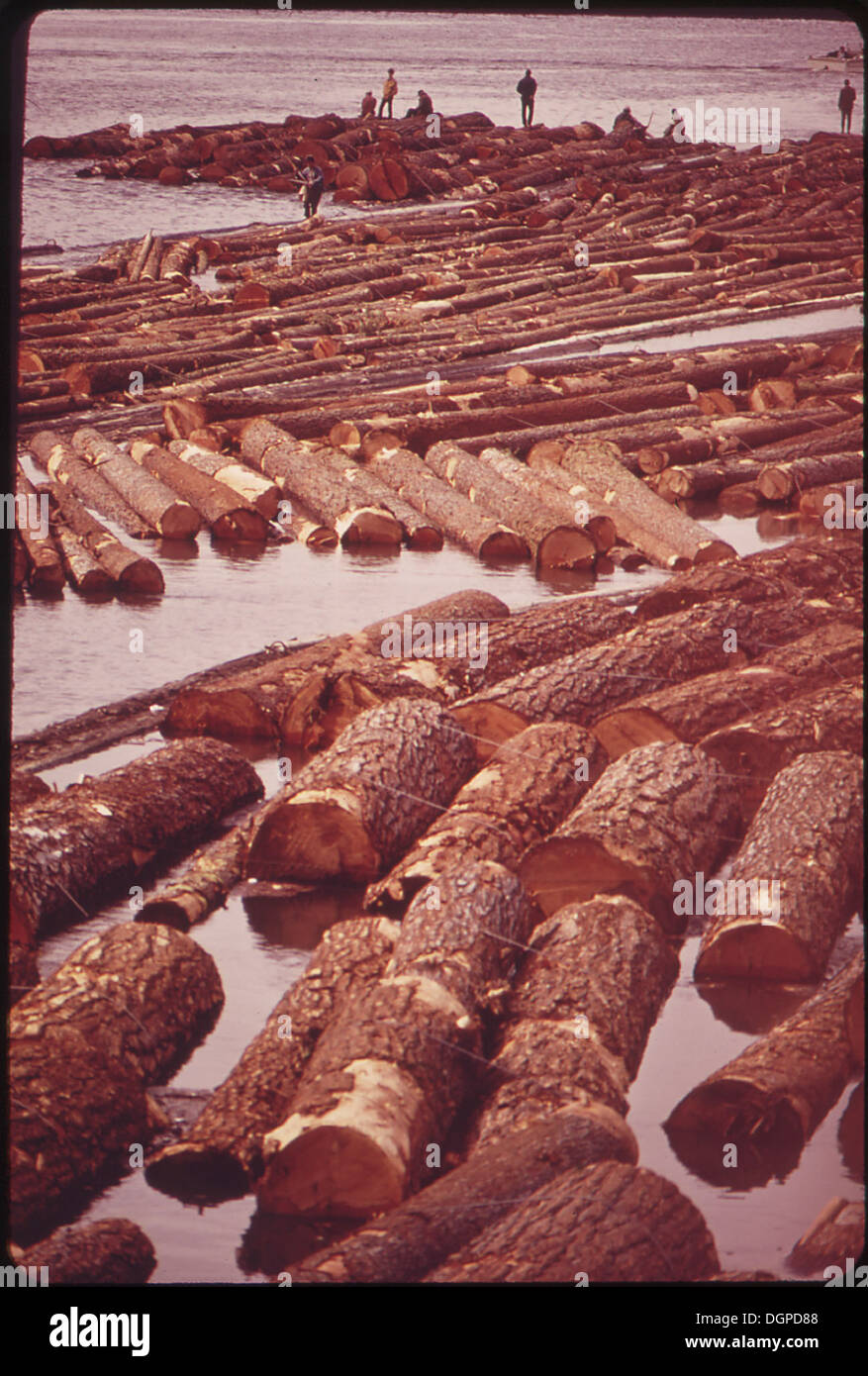 A log raft floats down the Willamette River near Oregon City, Oregon ...